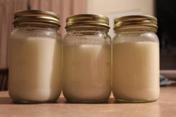 Rendering and Preserving Lard - Preparedness Pro